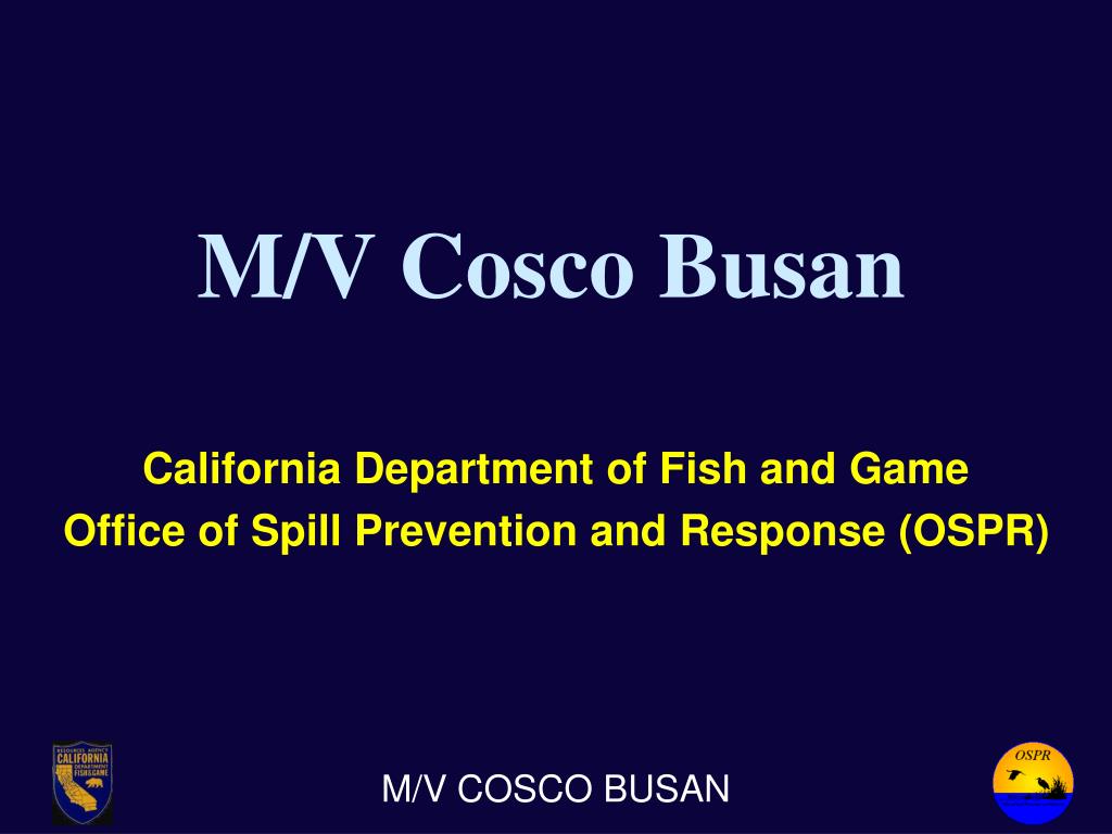 PPT - M/V Cosco Busan PowerPoint Presentation, free download - ID:6647168