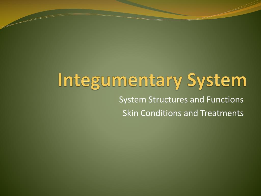 PPT - Integumentary System PowerPoint Presentation, free download - ID ...