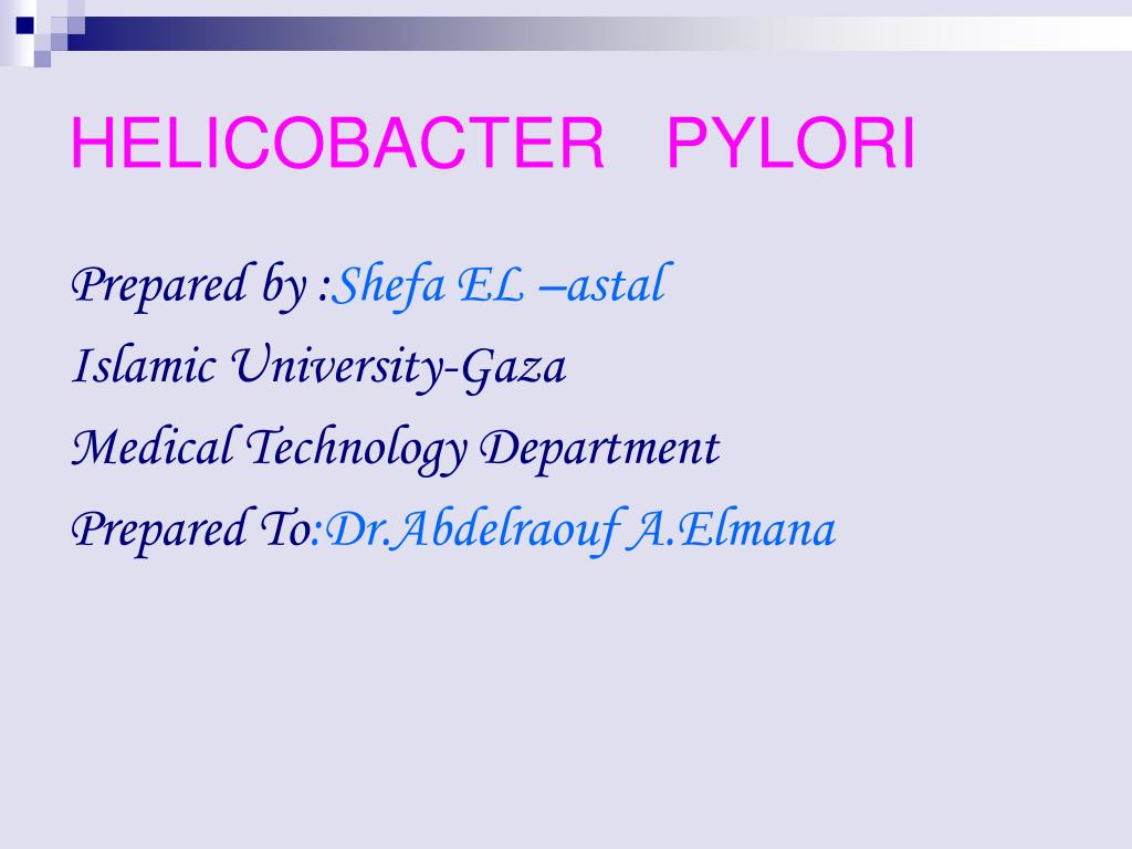 PPT - HELICOBACTER PYLORI PowerPoint Presentation, free download - ID ...