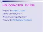 PPT - HELICOBACTER PYLORI. PowerPoint Presentation, free download - ID ...