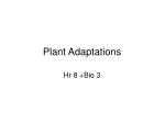 PPT - Plant Adaptations PowerPoint Presentation, free download - ID:6899917