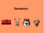 PPT - Sensation PowerPoint Presentation, free download - ID:196855