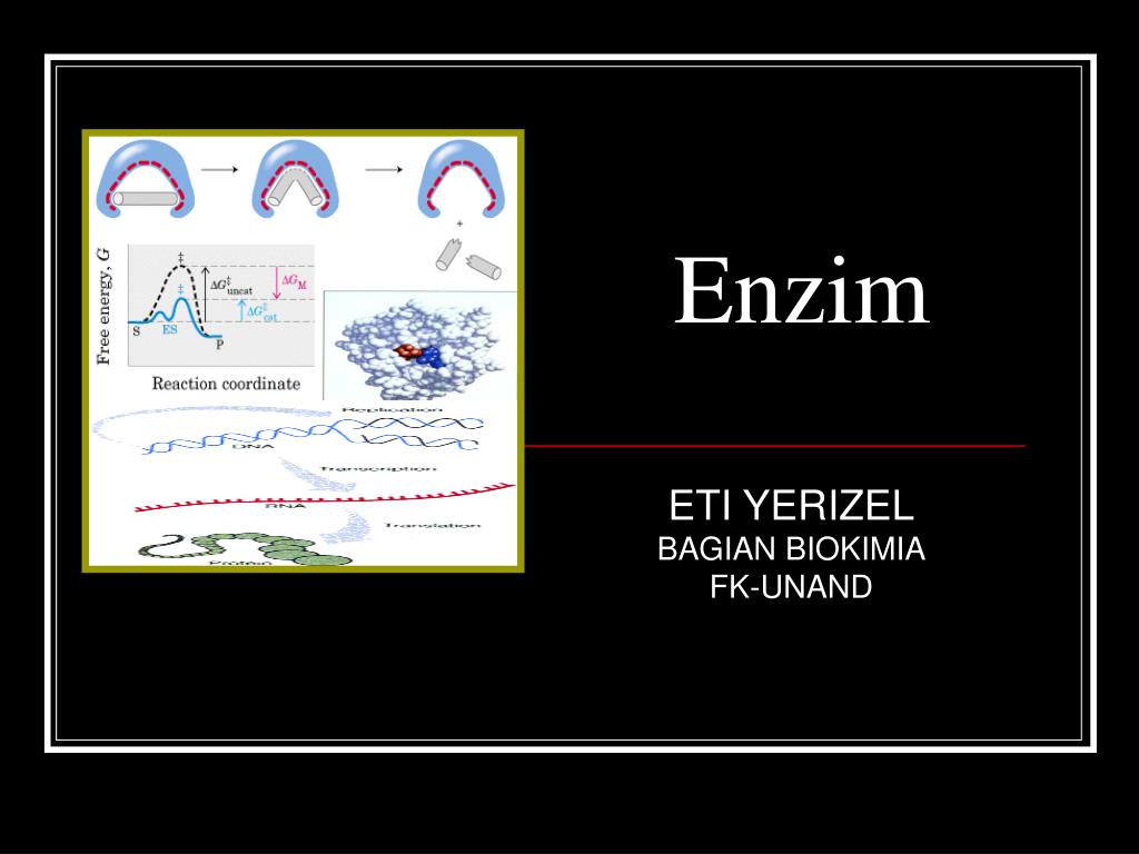 PPT - Enzim PowerPoint Presentation, free download - ID:6661043