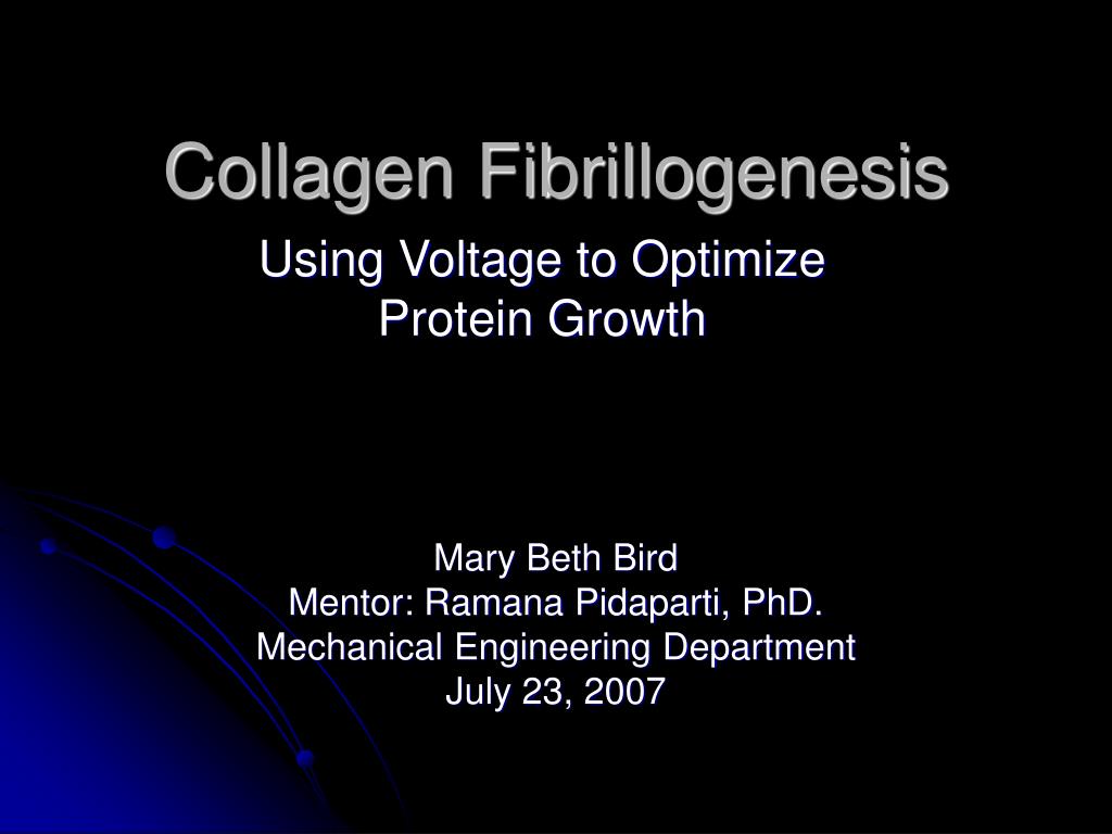 PPT - Collagen Fibrillogenesis PowerPoint Presentation, free download ...