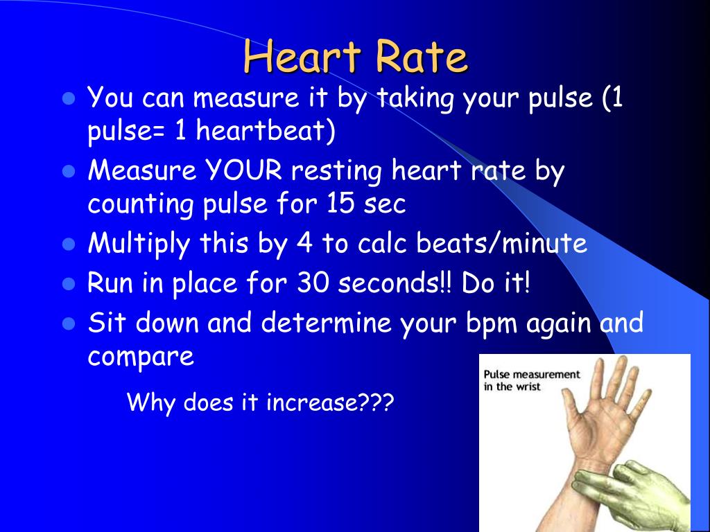 PPT - Heart Rate PowerPoint Presentation, free download - ID:6661621