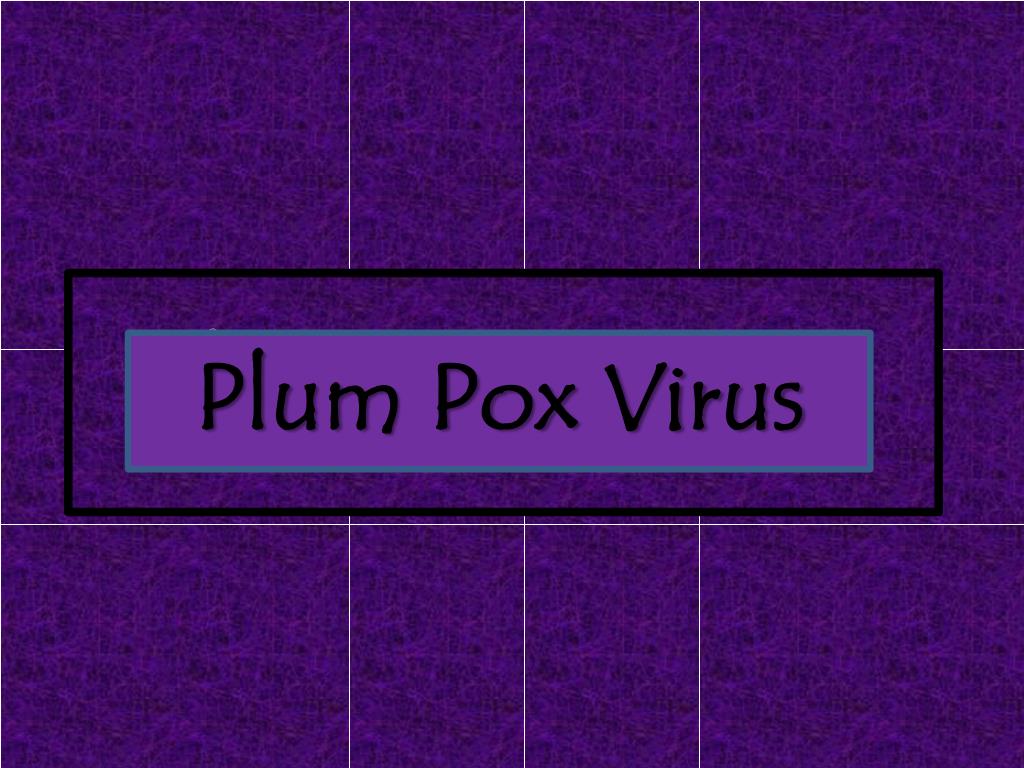 PPT - Plum Pox Virus PowerPoint Presentation, free download - ID:6662547