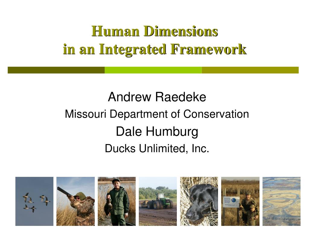 PPT - Human Dimensions in an Integrated Framework PowerPoint ...