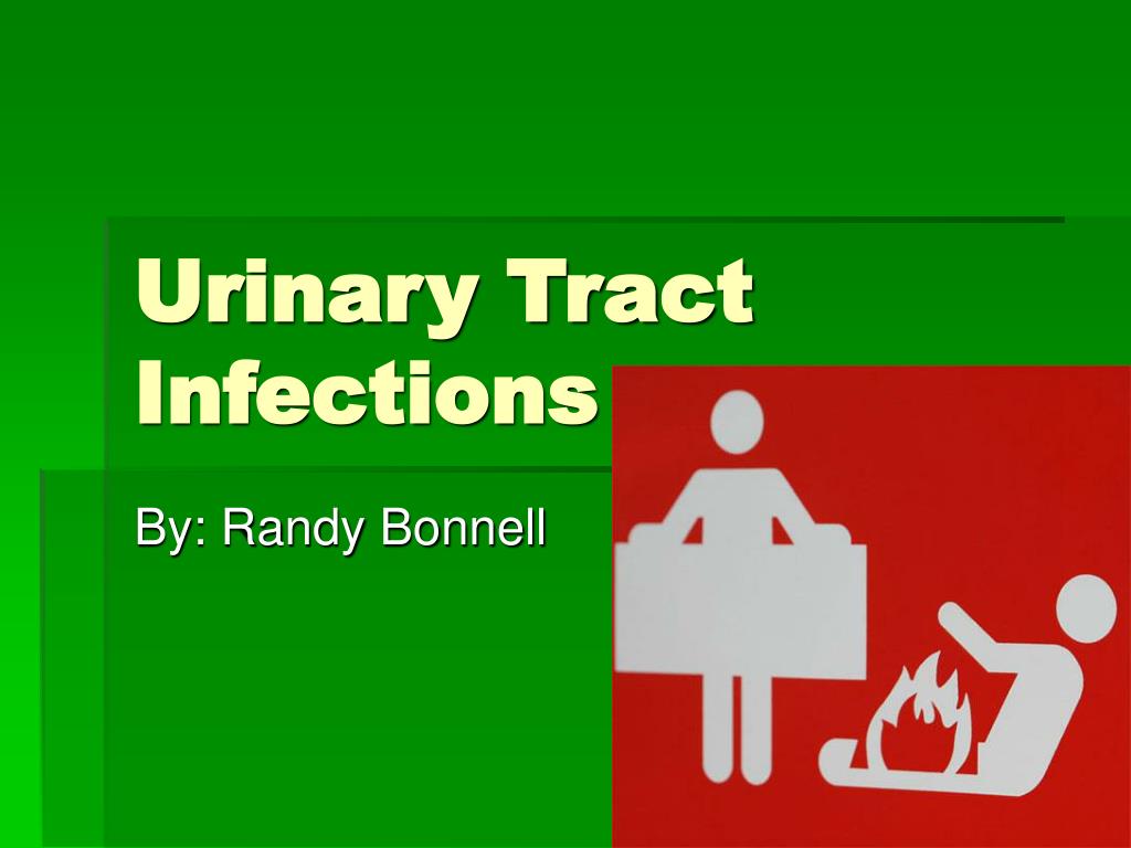 PPT - Urinary Tract Infections PowerPoint Presentation, free download ...
