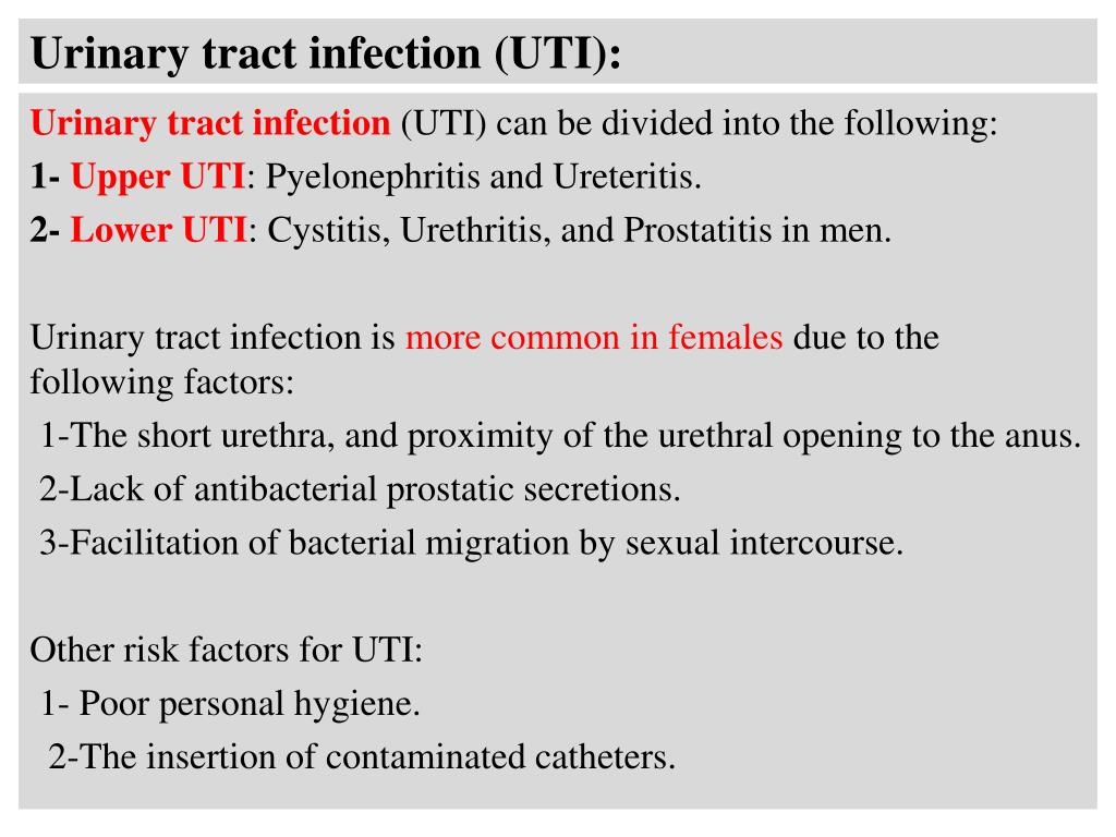 PPT - Urinary tract infection (UTI): PowerPoint Presentation, free ...