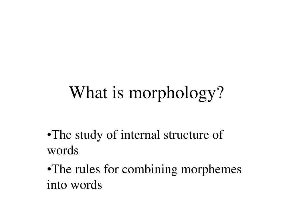 PPT - What is morphology? PowerPoint Presentation, free download - ID ...