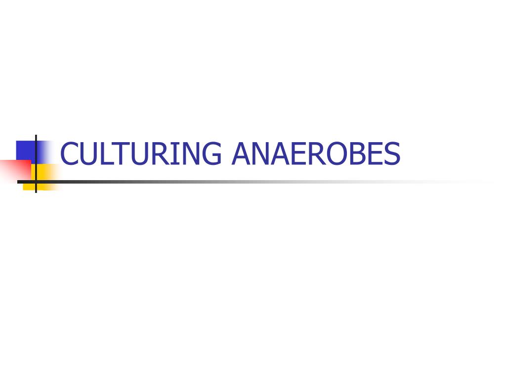 PPT - CULTURING ANAEROBES PowerPoint Presentation, free download - ID ...