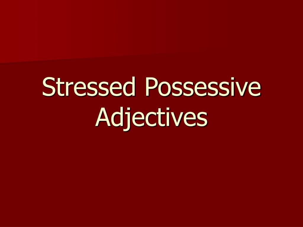 PPT - Stressed Possessive Adjectives PowerPoint Presentation, free ...