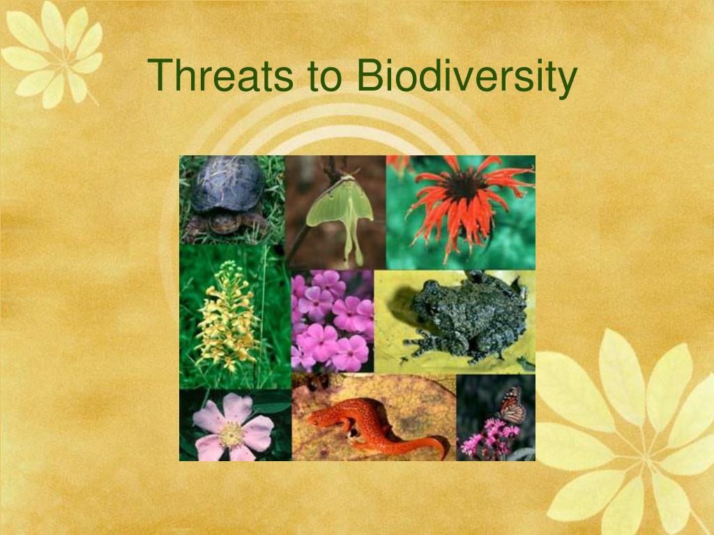 PPT - Threats to Biodiversity PowerPoint Presentation, free download ...