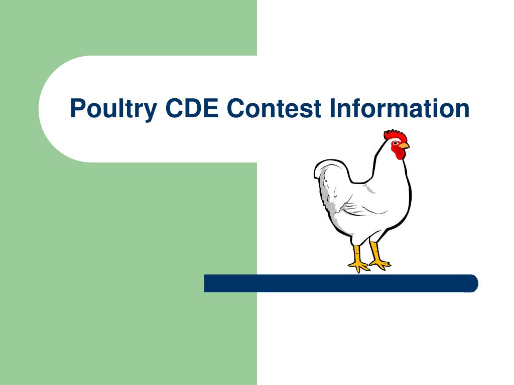 PPT - Poultry CDE Contest Information PowerPoint Presentation, free ...