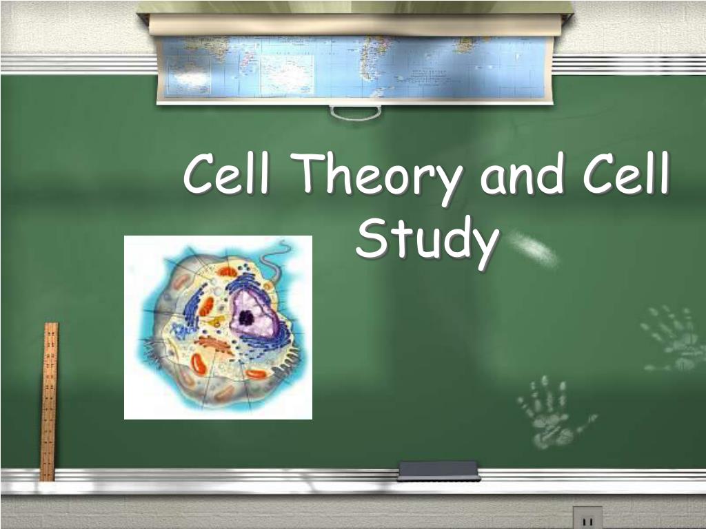 PPT - Cell Theory and Cell Study PowerPoint Presentation, free download ...