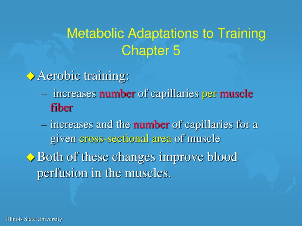 PPT - Metabolic Adaptations to Training Chapter 5 PowerPoint ...