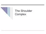 PPT - SHOULDER COMPLEX PowerPoint Presentation, free download - ID:504635