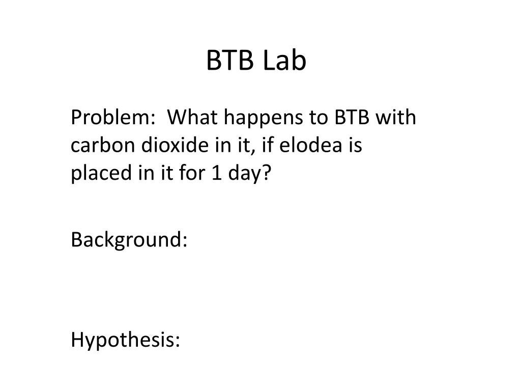 PPT - Effects of Carbon Dioxide on BTB Color Change with Elodea ...