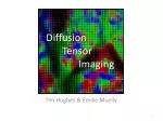 PPT - Diffusion Tensor Imaging PowerPoint Presentation, free download ...