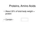 PPT - Amino Acids and Proteins PowerPoint Presentation, free download ...