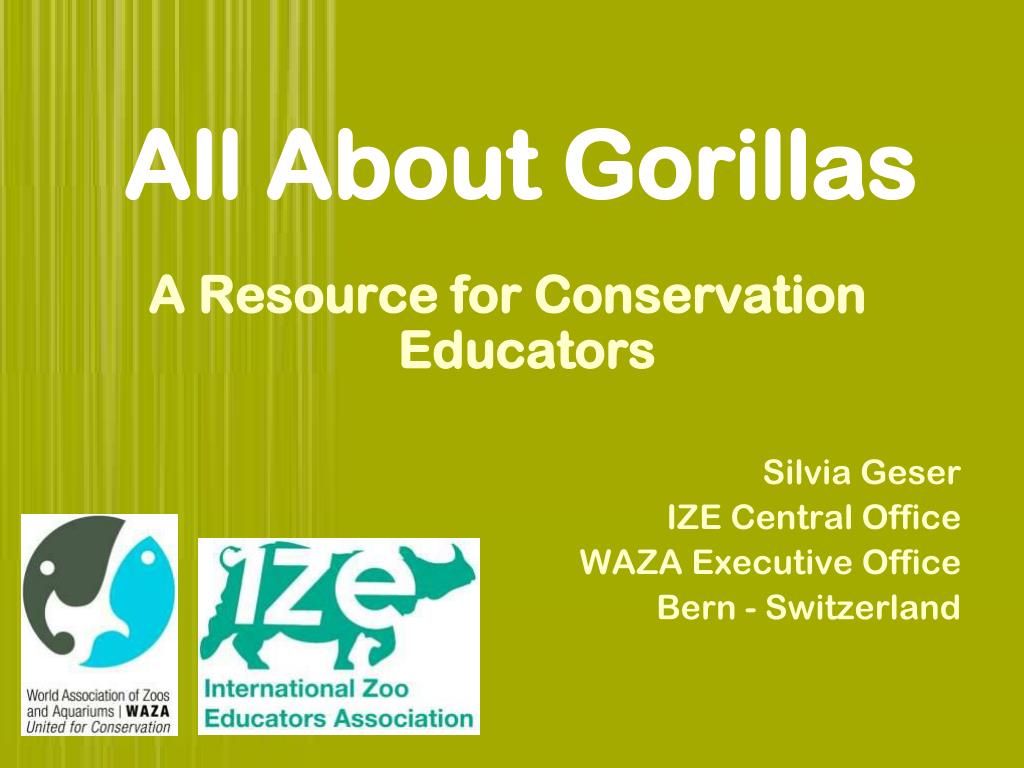 PPT - All About Gorillas PowerPoint Presentation, free download - ID ...
