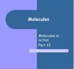 PPT - Cold molecules PowerPoint Presentation, free download - ID:2133857