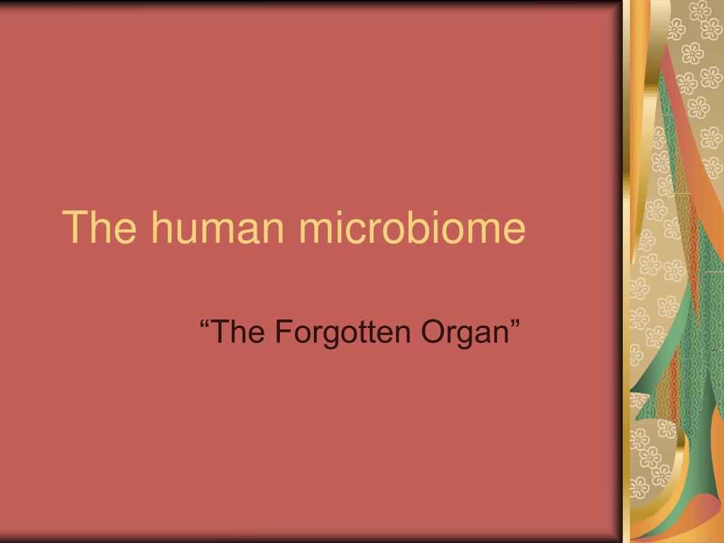 PPT - The human microbiome PowerPoint Presentation, free download - ID ...