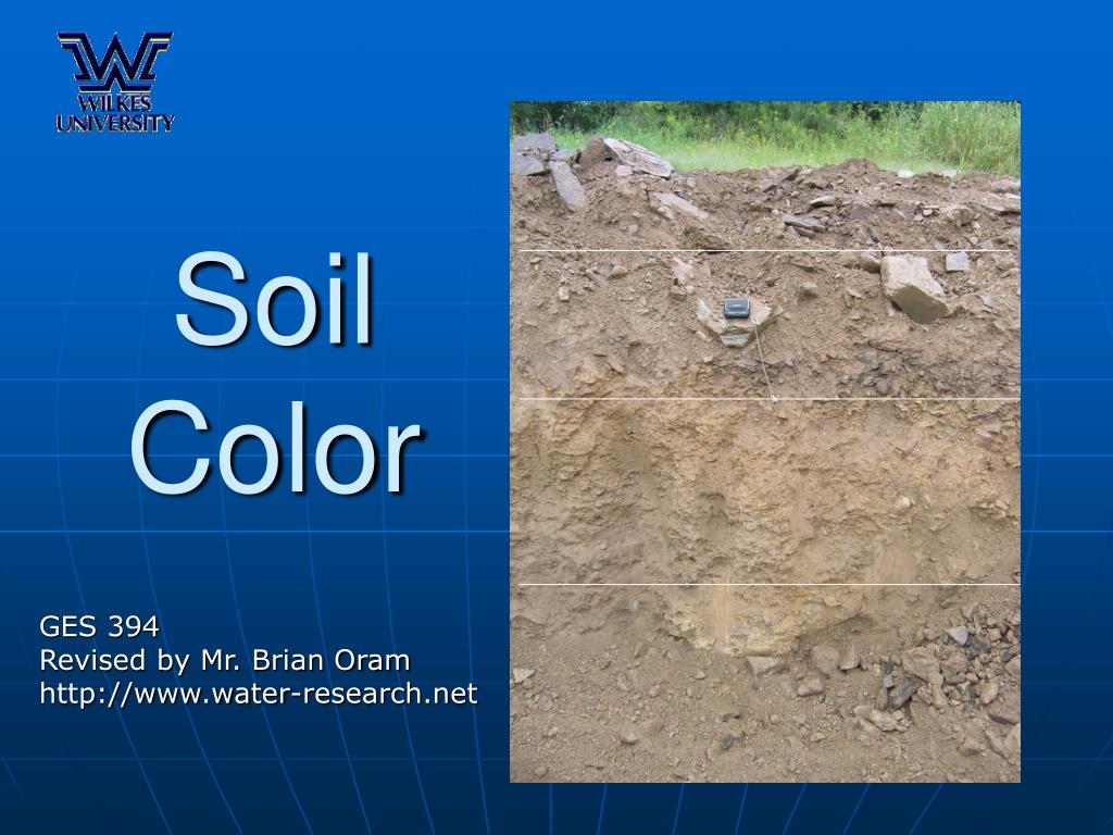 PPT - Soil Color PowerPoint Presentation, free download - ID:6686841