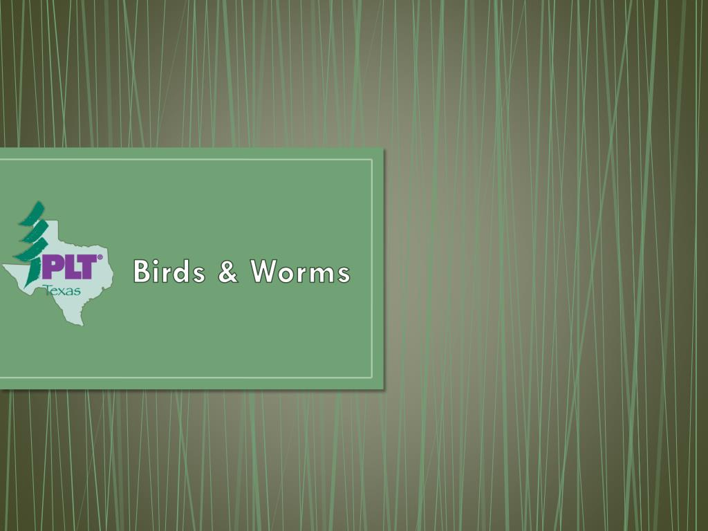 PPT - Birds & Worms PowerPoint Presentation, free download - ID:6687843