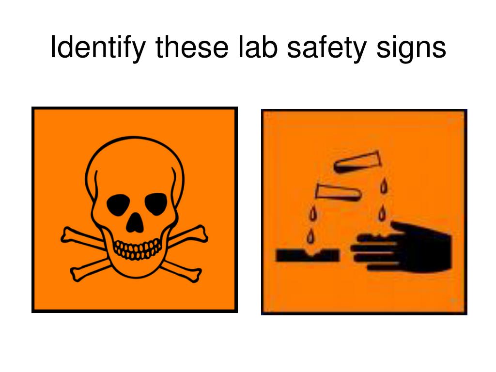 PPT - Identify these lab safety signs PowerPoint Presentation, free ...