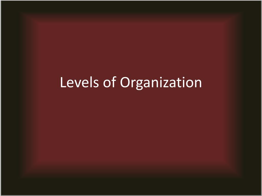 PPT - Levels of Organization PowerPoint Presentation, free download ...