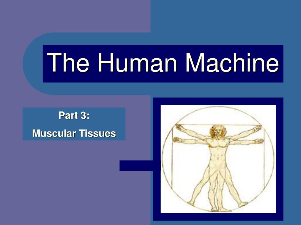 PPT - The Human Machine PowerPoint Presentation, free download - ID:6691605