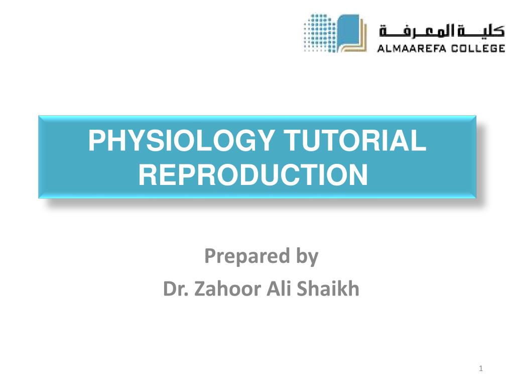PPT - Physiology Tutorial REPRODUCTION PowerPoint Presentation, free ...