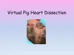 PPT - Pig Heart Dissection PowerPoint Presentation, free download - ID ...