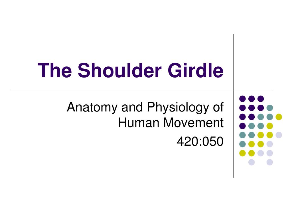 PPT - The Shoulder Girdle PowerPoint Presentation, free download - ID ...