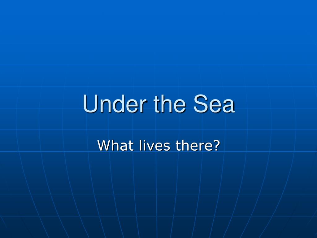 PPT - Discovering Marine Life: Sharks, Whales, and Turtles Under the ...
