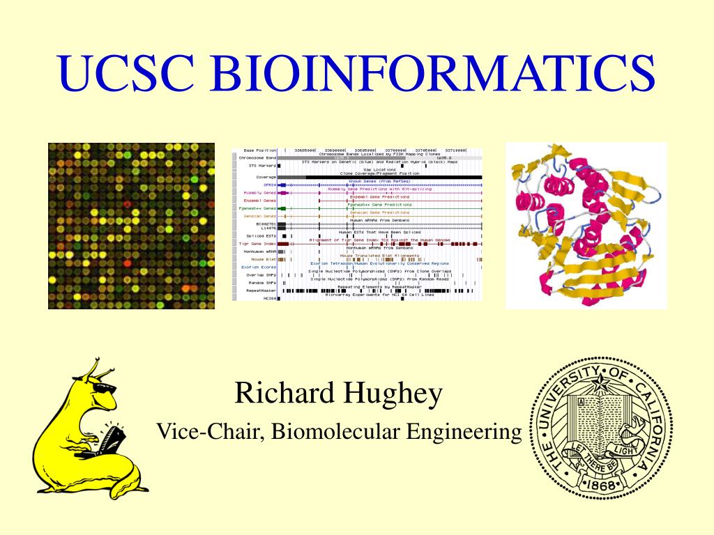 PPT - UCSC BIOINFORMATICS PowerPoint Presentation, free download - ID ...