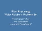 PPT - Plant water relations PowerPoint Presentation, free download - ID ...