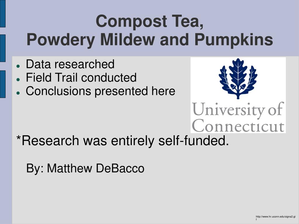 PPT - Compost Tea, Powdery Mildew and Pumpkins PowerPoint Presentation ...