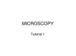 PPT - Microscopy PowerPoint Presentation, free download - ID:2620783
