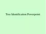 PPT - Tree Expert, Tree Removal Maryland PowerPoint Presentation, free ...