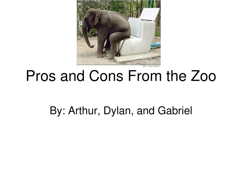PPT - Pros and Cons From the Zoo PowerPoint Presentation, free download ...