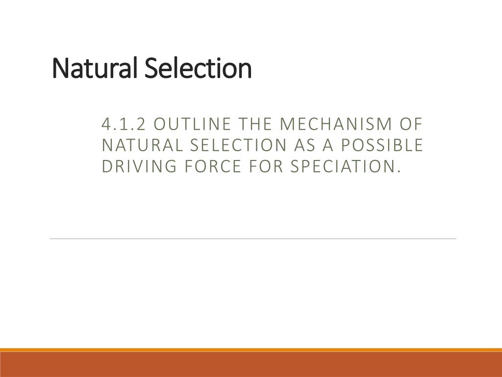 PPT - Natural Selection PowerPoint Presentation, free download - ID:6700679
