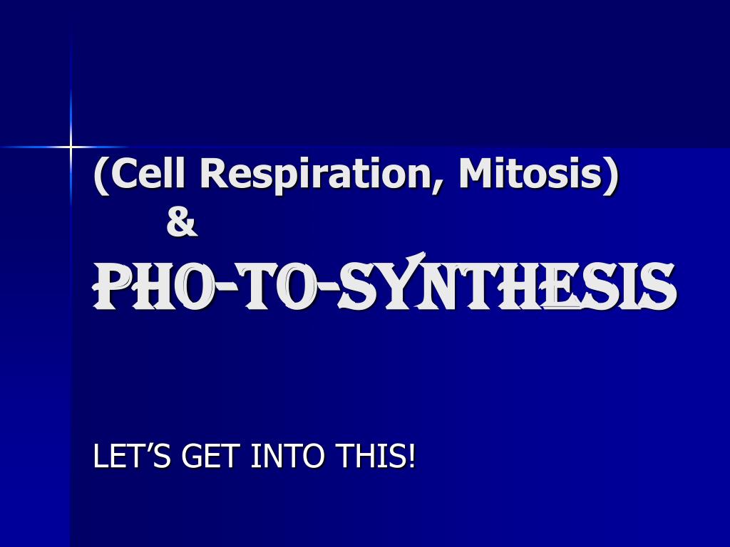 PPT - Understanding Cellular Processes: Cell Respiration, Mitosis, and ...