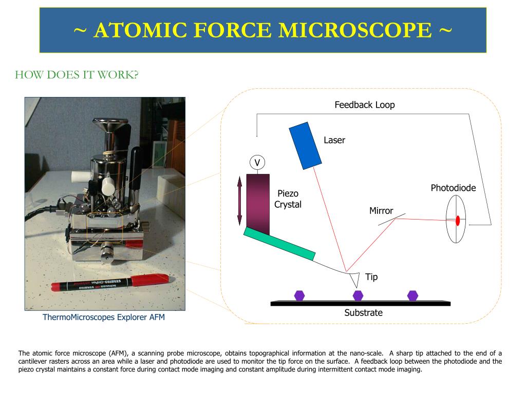 PPT - ~ ATOMIC FORCE MICROSCOPE ~ PowerPoint Presentation, free ...