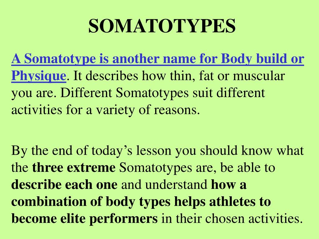 PPT - SOMATOTYPES PowerPoint Presentation, free download - ID:6704715