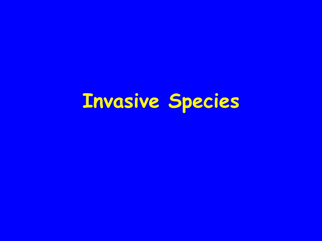 PPT - Invasive Species PowerPoint Presentation, free download - ID:6705660