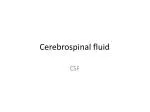 PPT - Cerebrospinal fluid PowerPoint Presentation, free download - ID ...