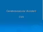 PPT - Lawsuit Case Car Accident PowerPoint Presentation, free download ...