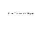 PPT - Plant Organs PowerPoint Presentation, free download - ID:2770607